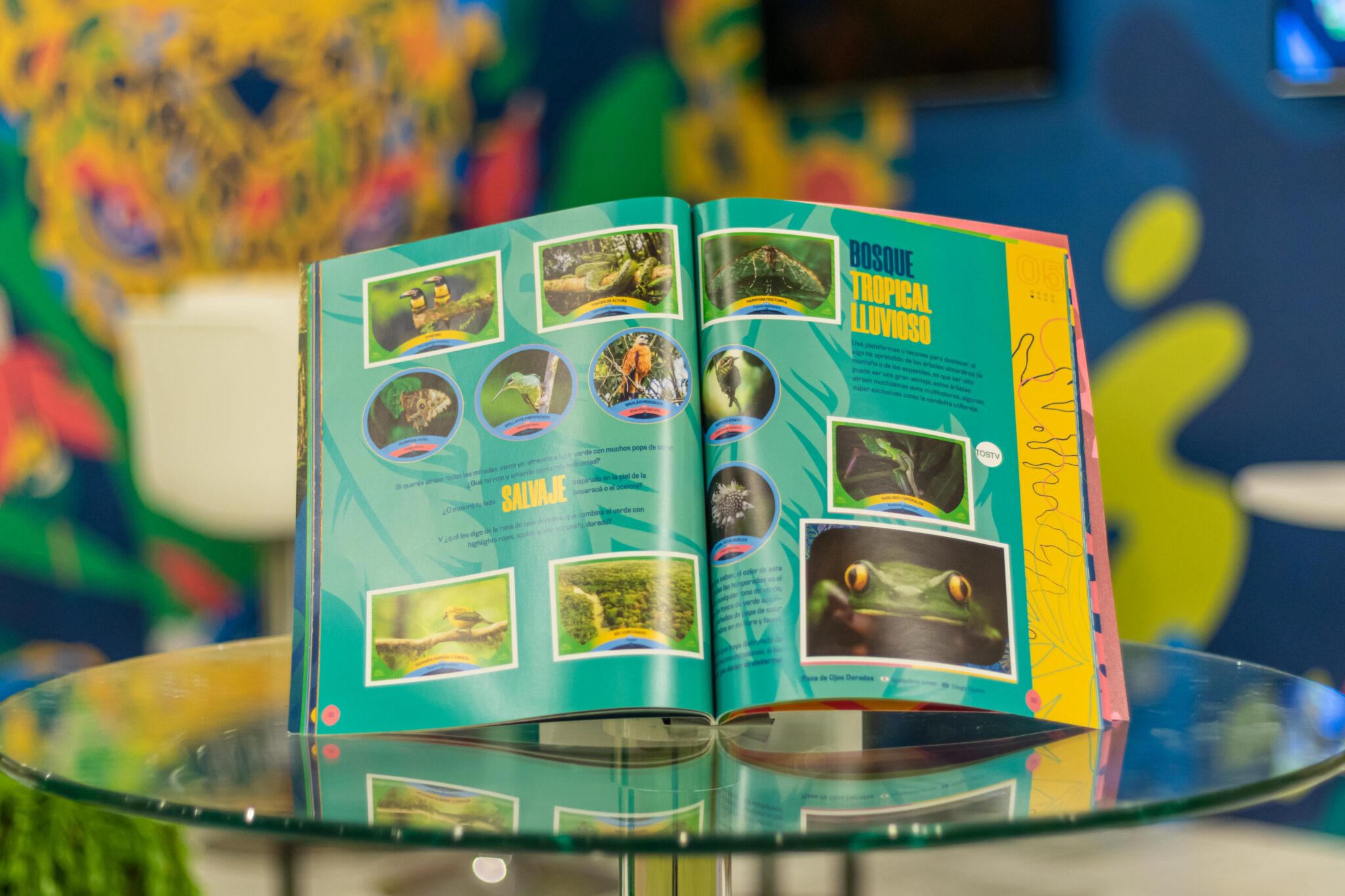 Panini lanzará el primer álbum exclusivo para Costa Rica: temática será ...